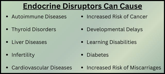 Endocrine Disruptors Explained: What You Need to Know About EDCs and ...