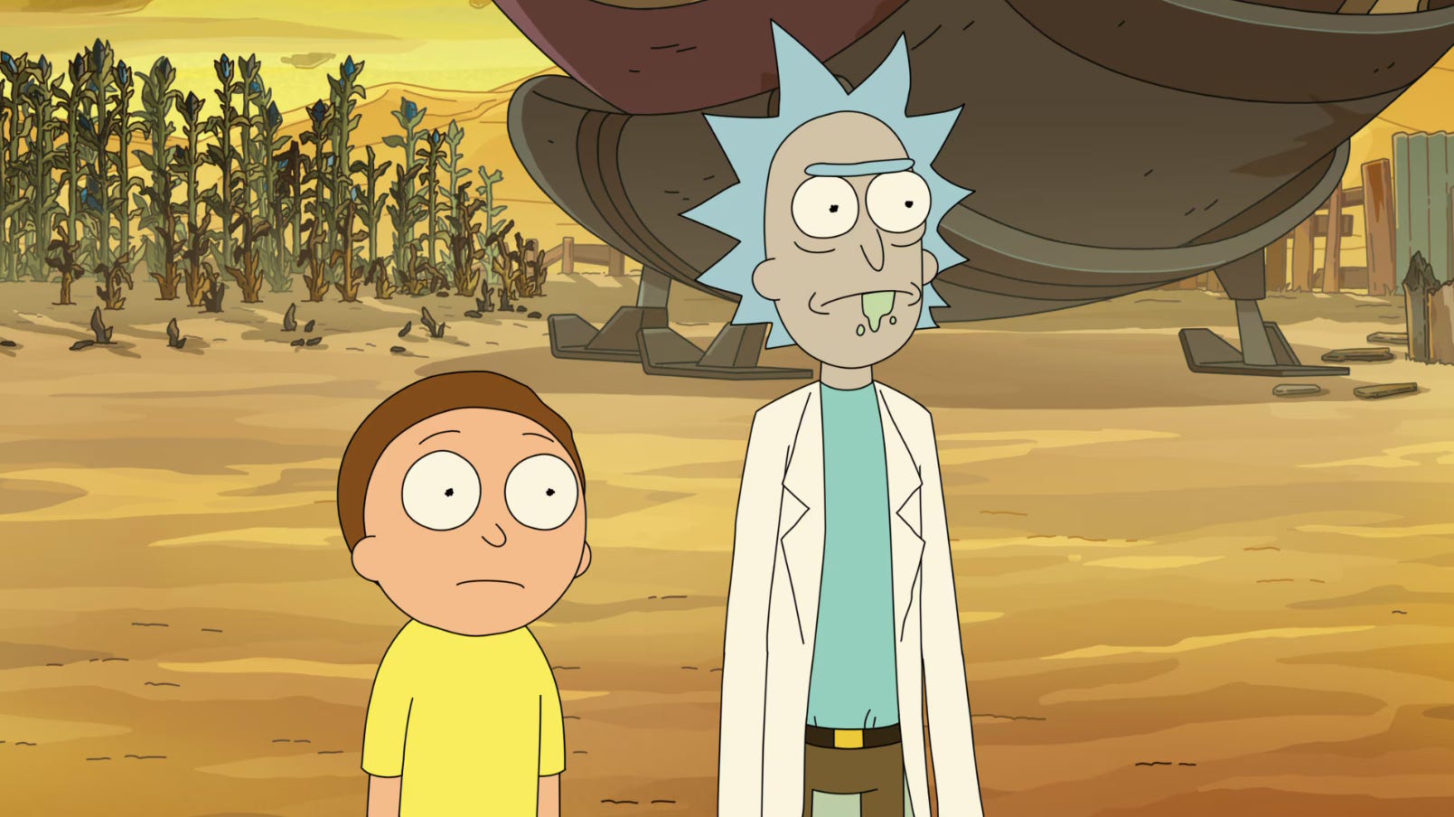 Review: Rick and Morty, "The Rick, The Mort & The Ugly" | Season 8 ...