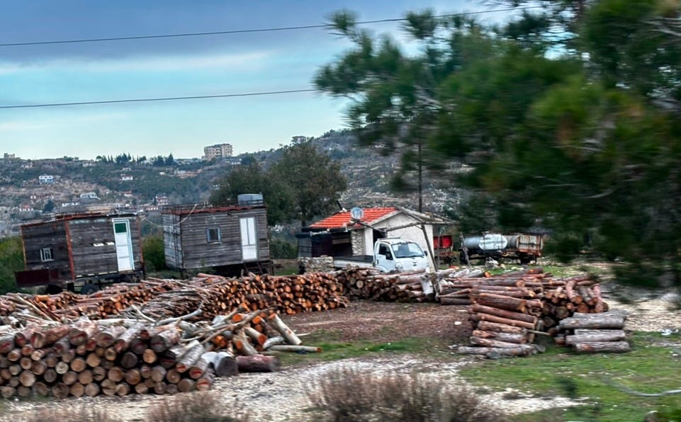Syria, self-made: Deforestation as survival - by Alex Simon