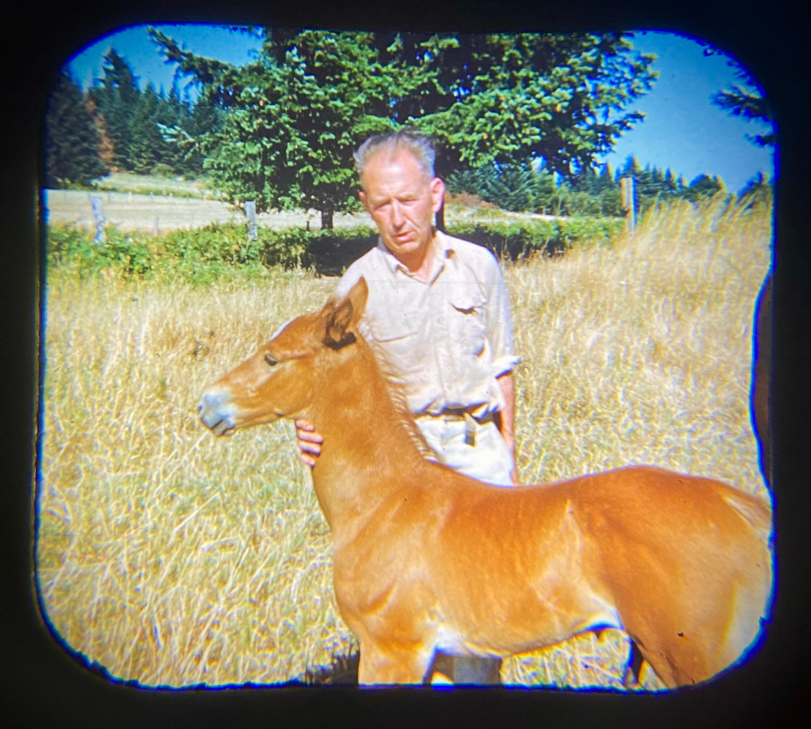 Jones Farm - by Rebecca Kilbreath - History in Kodachrome