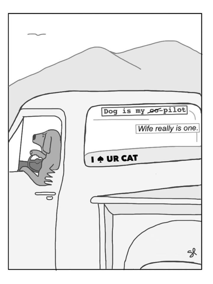 Chasing Punchlines - Steve Paddon