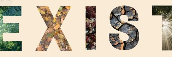 Ciara Toulme | Substack