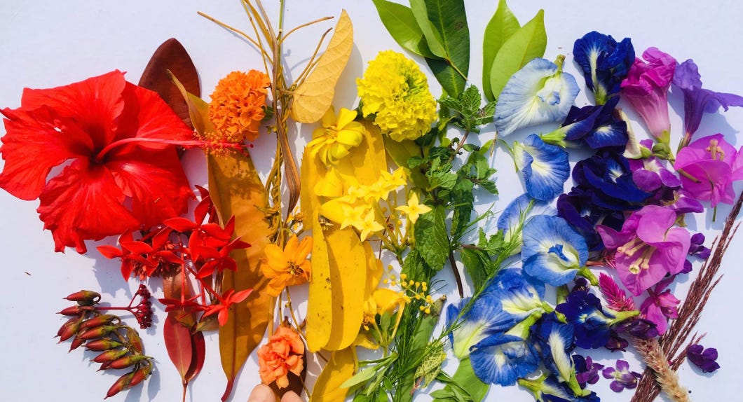 Natural Colours - by NatureBased - Nature Based
