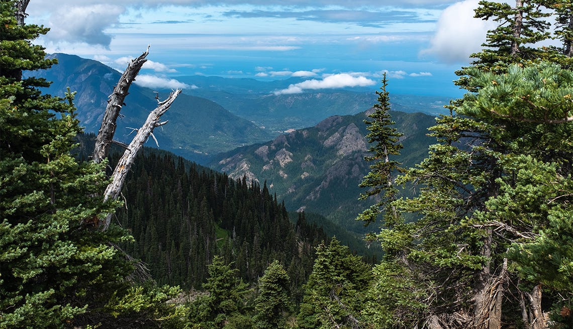 #34: Cascadia - by Nicholas - An Eye on the Pacific