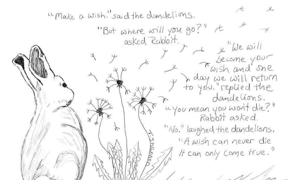 I'm Still Here - by Tara Shannon - Tara’s Substack