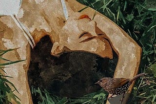 Yael’s Newsletter | Yael Shemer | Substack