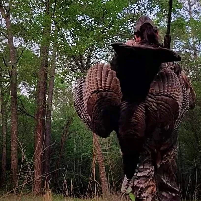 That Bird Didn't Know Whose Land It Was On