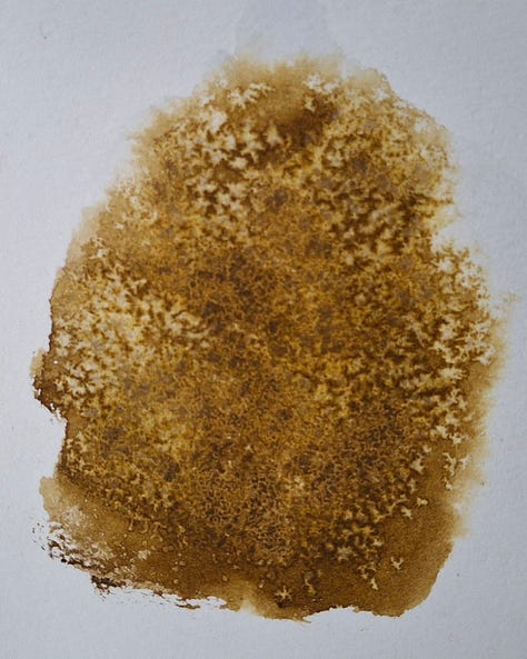 Exploring the Salt Technique for Unique Textures in Watercolour