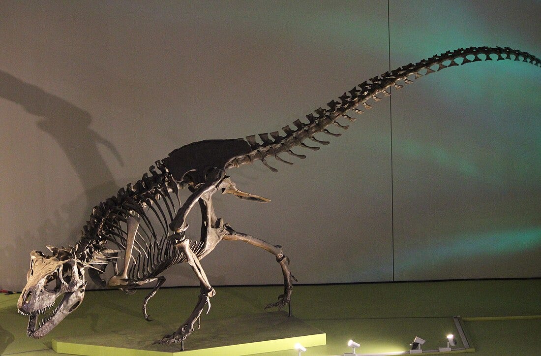 The Arctic Tyrant: Nanuqsaurus of the North Slope