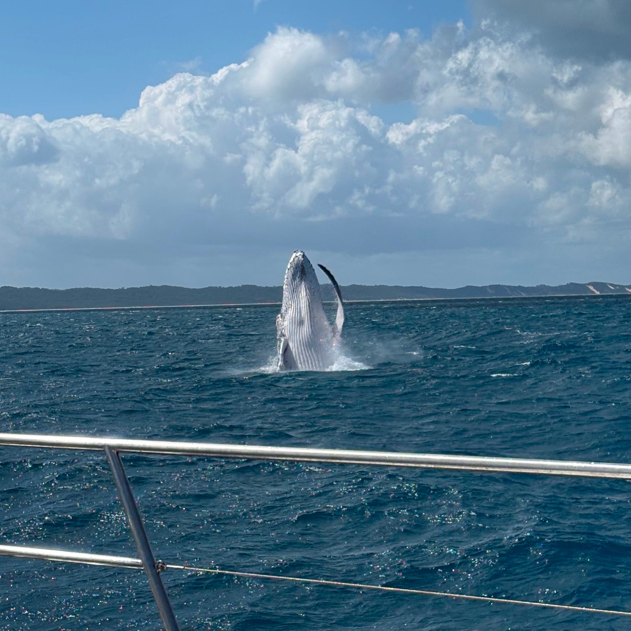 Heart Update 04 - by Patrick Durack - The One About....