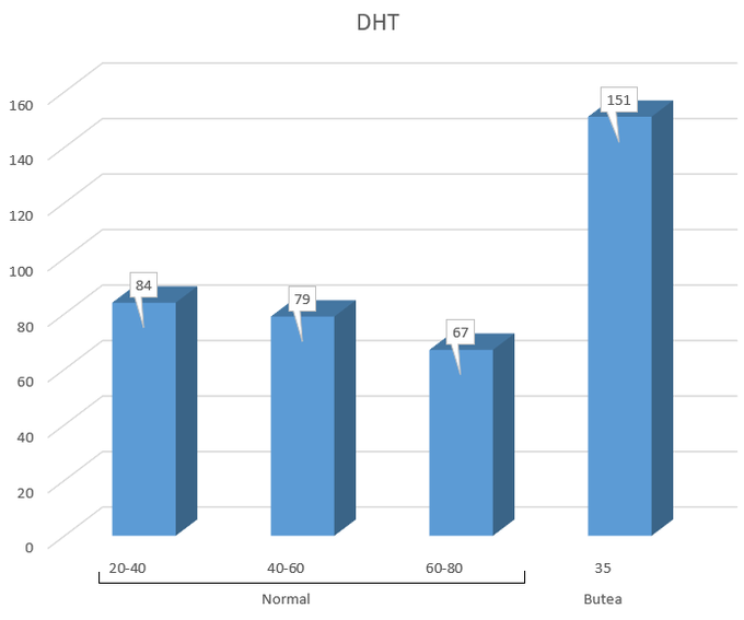 The Ultimate Guide to Maximizing DHT Naturally: Unlock the Apex Male ...