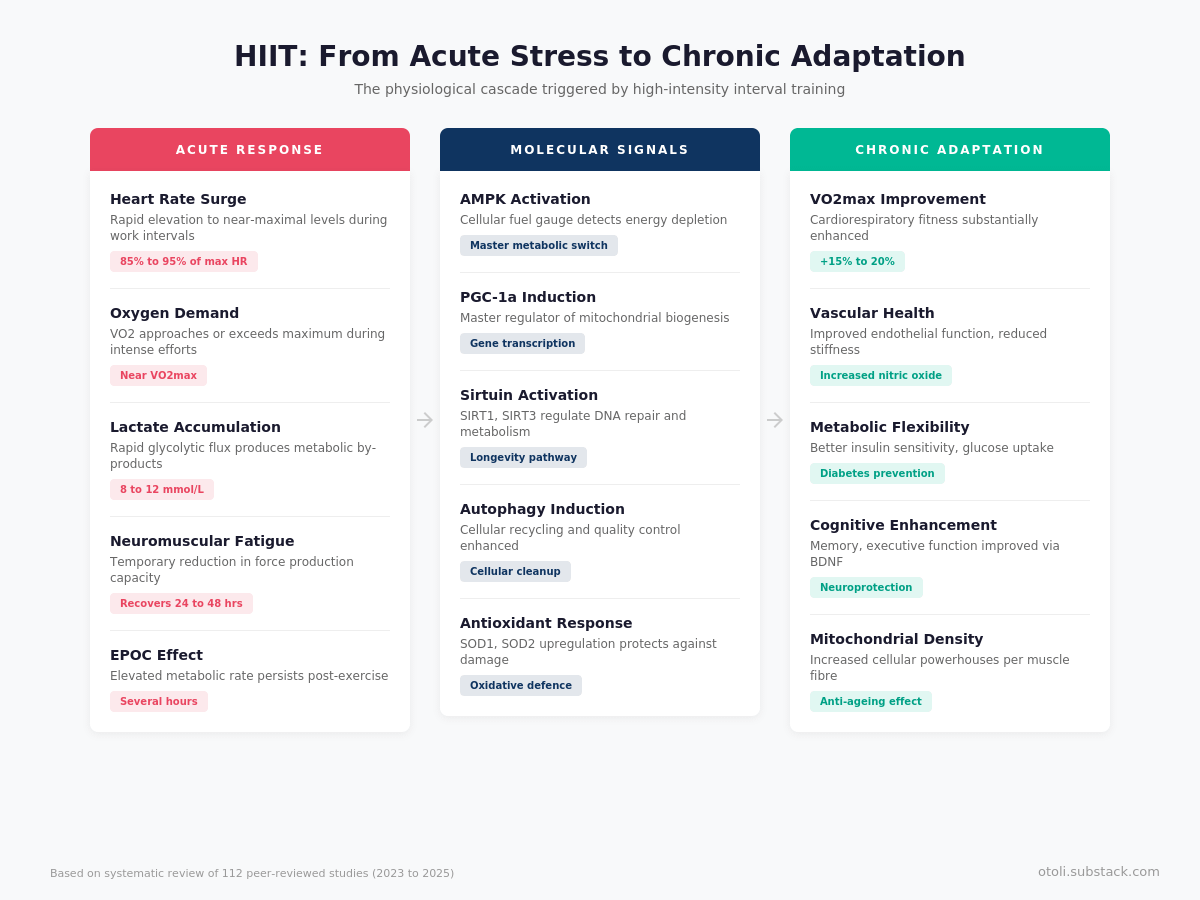 The Science of HIIT - by Darren Coughlan