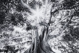 God Girl with Hayley DiMarco | Substack