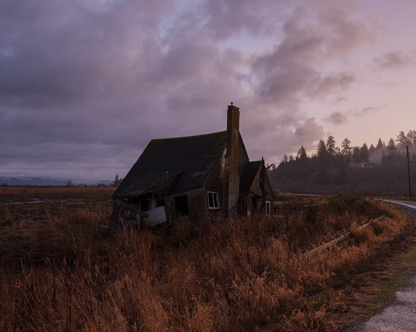 Artist Feature #96 - by Nicholas Talerico and Noah Waldeck