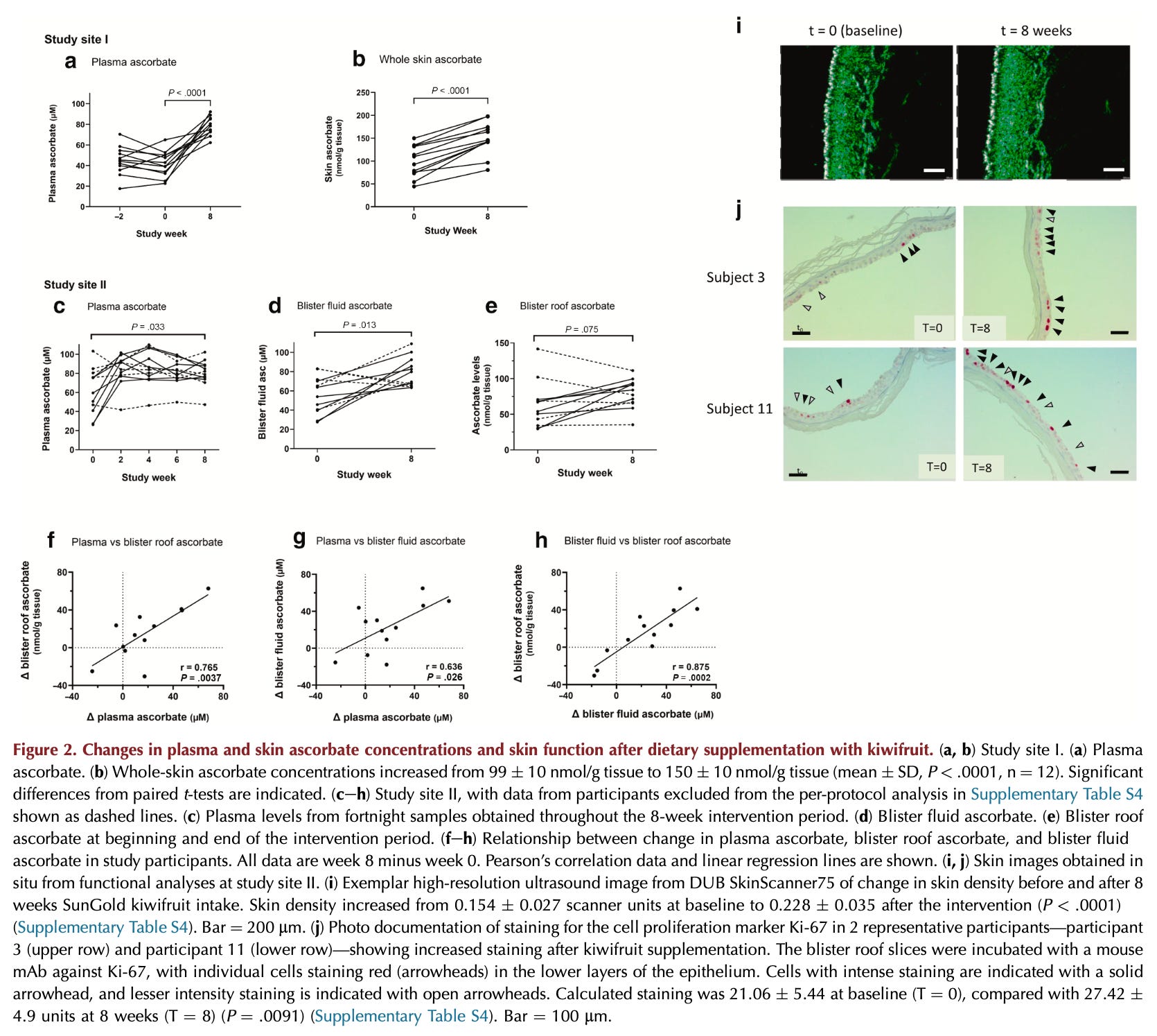 NEW STUDY: Eating Kiwifruit Increases Skin Density by 48% and Epidermal ...