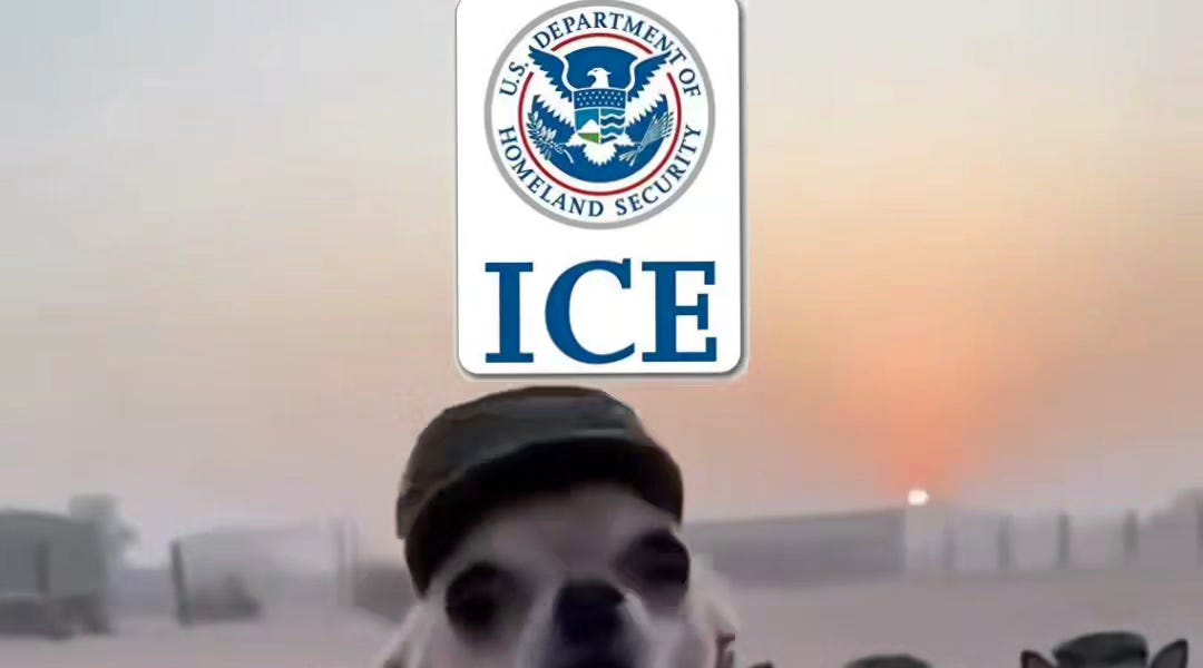 MAGA DOG ARMY - by my name is ali - AYE’s Substack