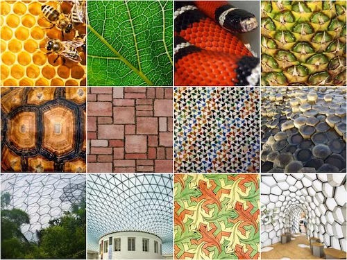 Tessellations: The Hidden Geometry Behind Nature's Most Efficient ...