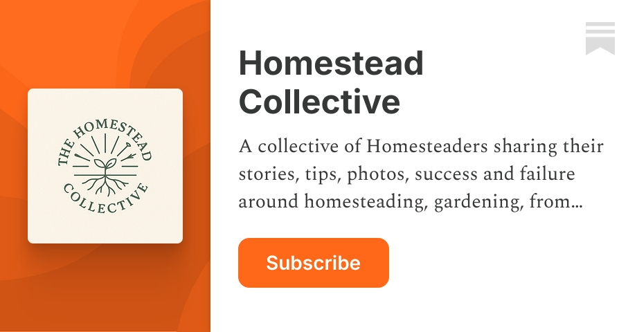 Homestead Collective | Gretchen at Backyard Farming | Substack
