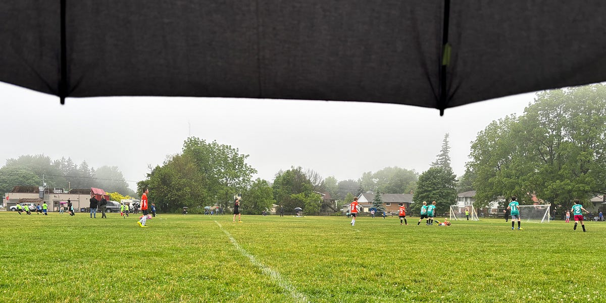 Beautiful Inclemency - by Katherine Martinko