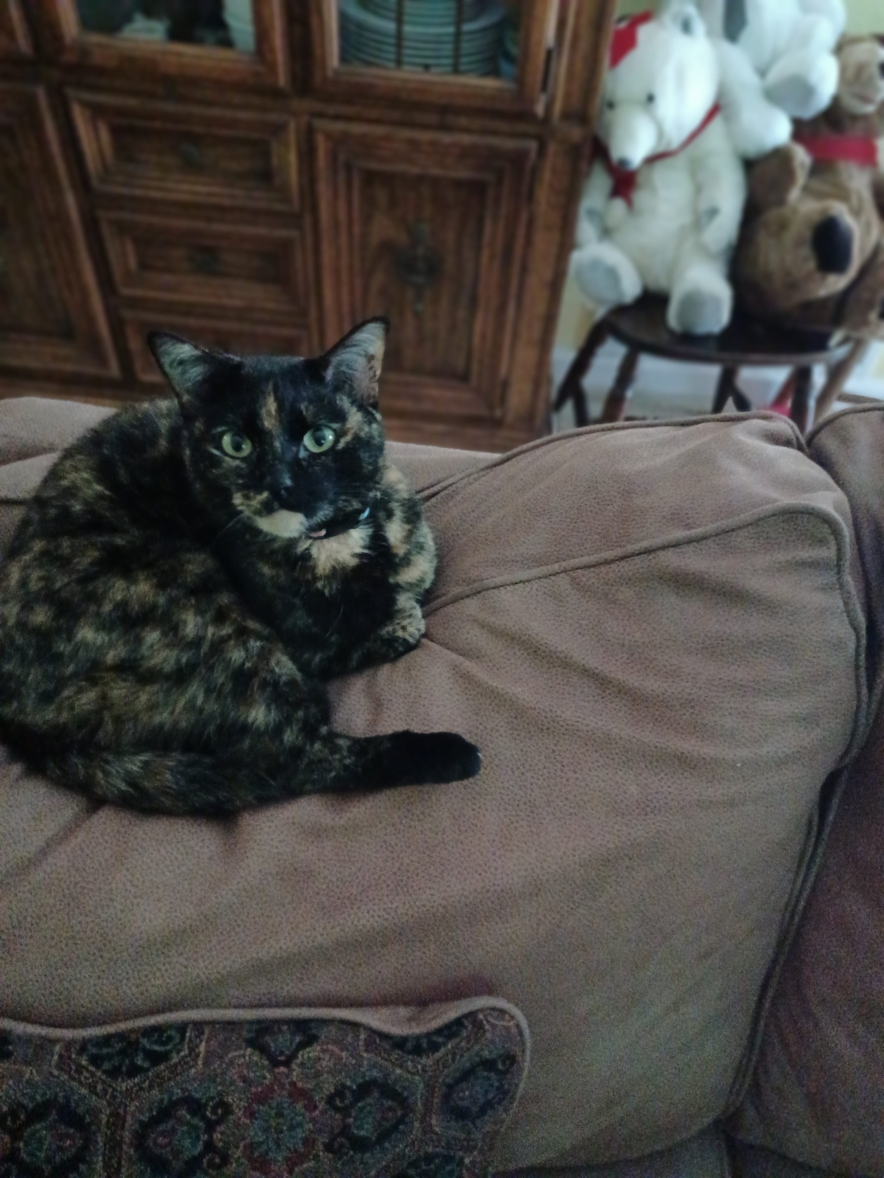 Greg Rohloff | Substack