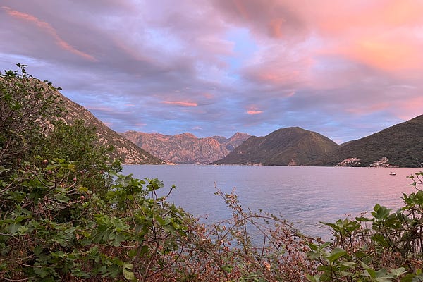 Char’s Corner | Charlotte Amelie | Substack