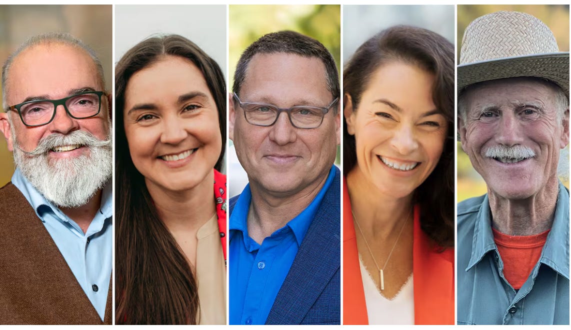 why does it cost $100,000 to run for ndp leadership?
