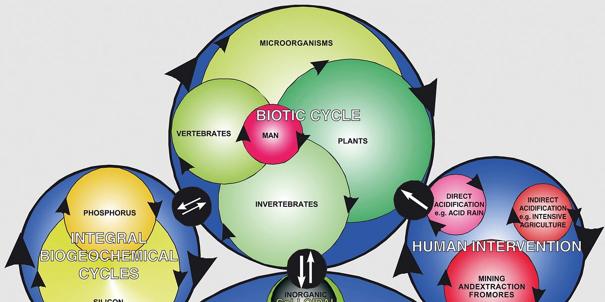 Measure For Measure - by Dr Christopher Exley