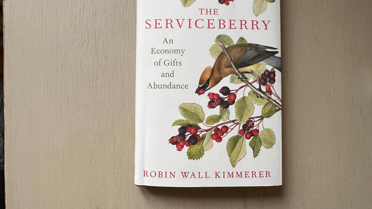 Book review: The Serviceberry by Robin Wall Kimmerer