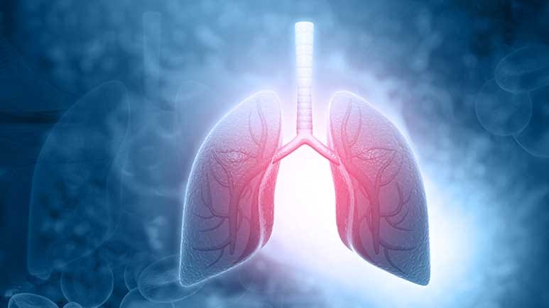 Inhaled Microplastics Impair Lung Immunity and Spread to Organs