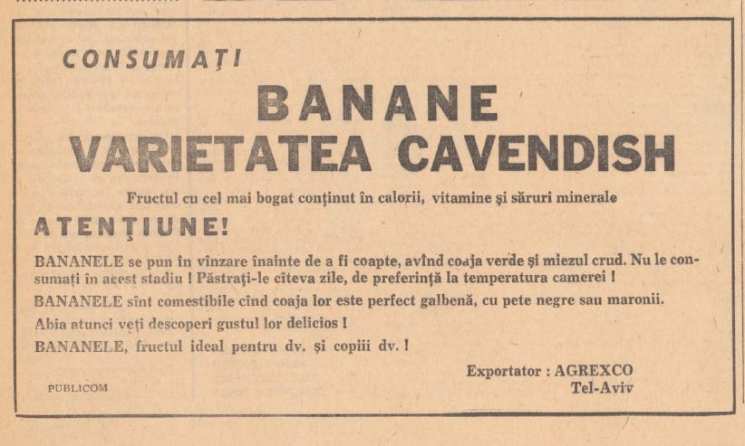 Termeni de rezistență din limba română