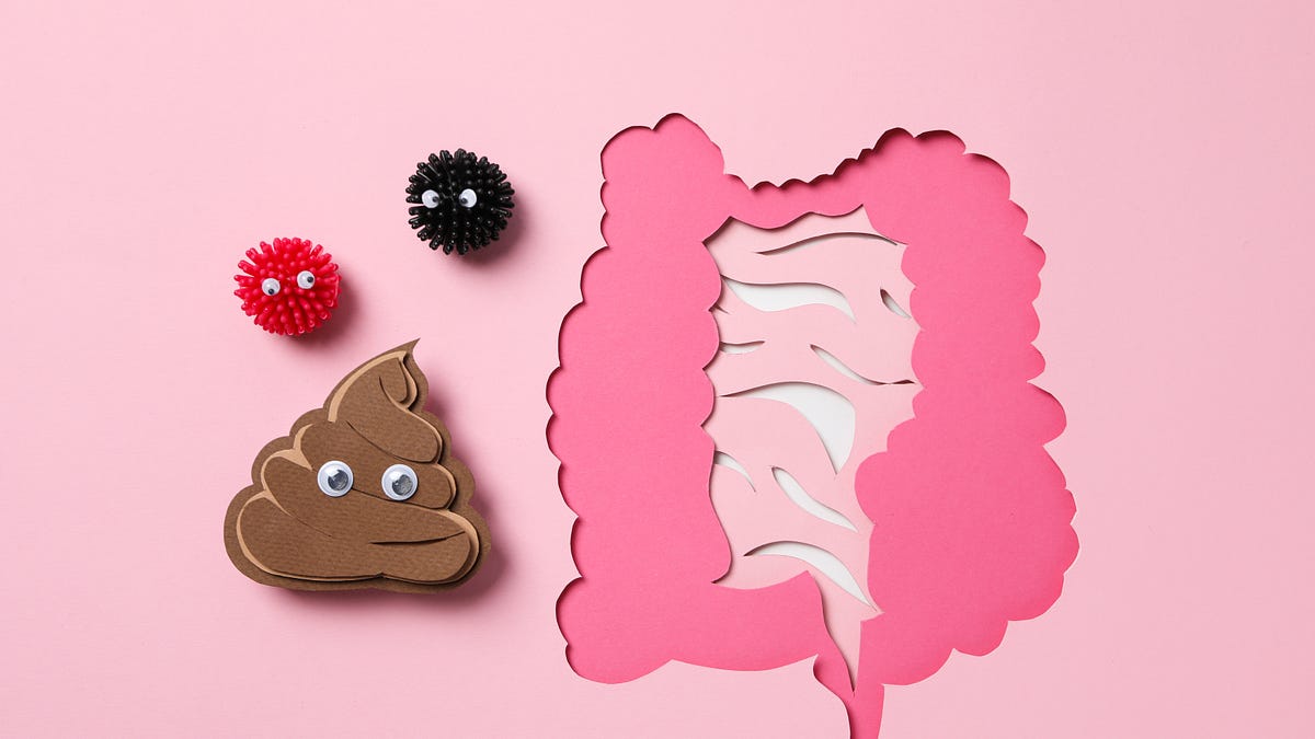 The Accidental Brain Hack: Did a Poop Transplant Just Reverse Alzheimer’s?