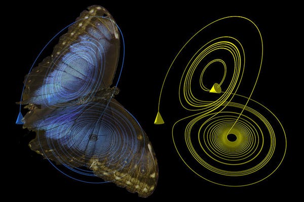 Butterfly Effect (Director's Cut) - by Sebastian Jensen