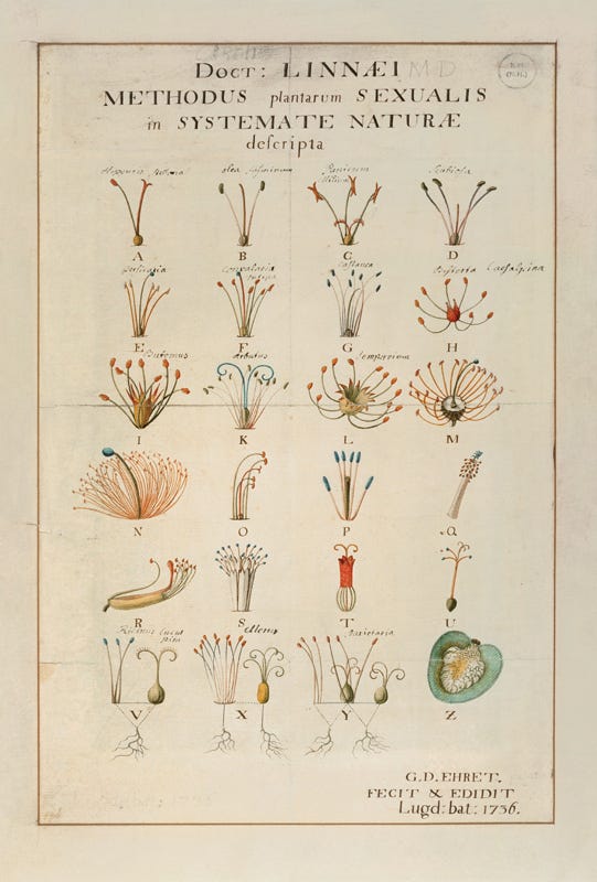 Carl Linnaeus and the Birth of Scientific Classification