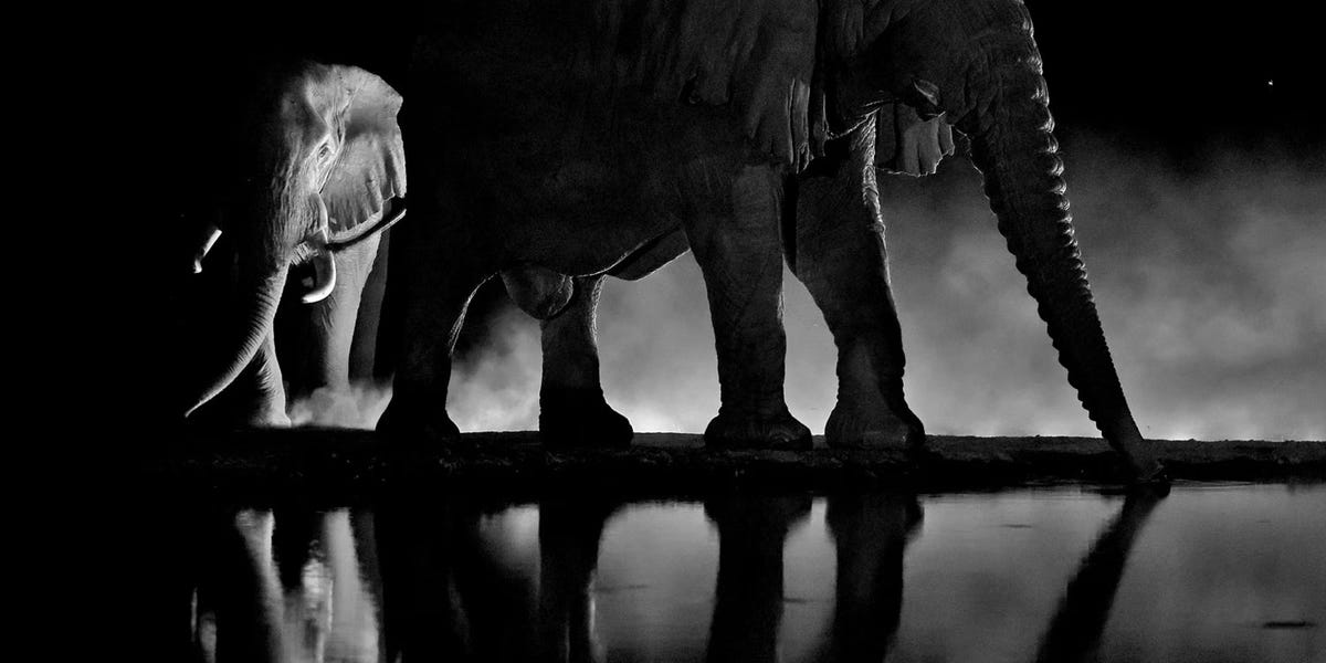 Cuarenta más cinco - by Diego Geddes