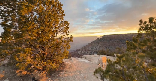 Tom Ryan, Author | Substack