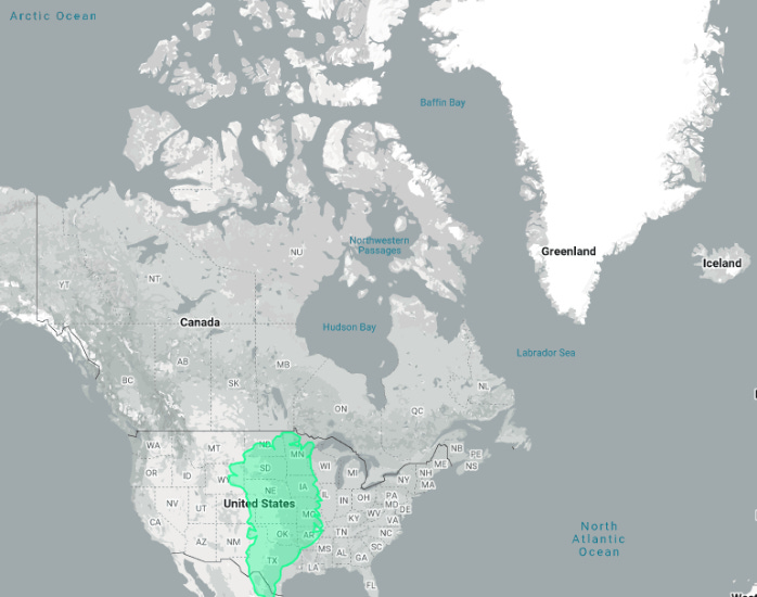 The Lies They Told - by Jonn Elledge