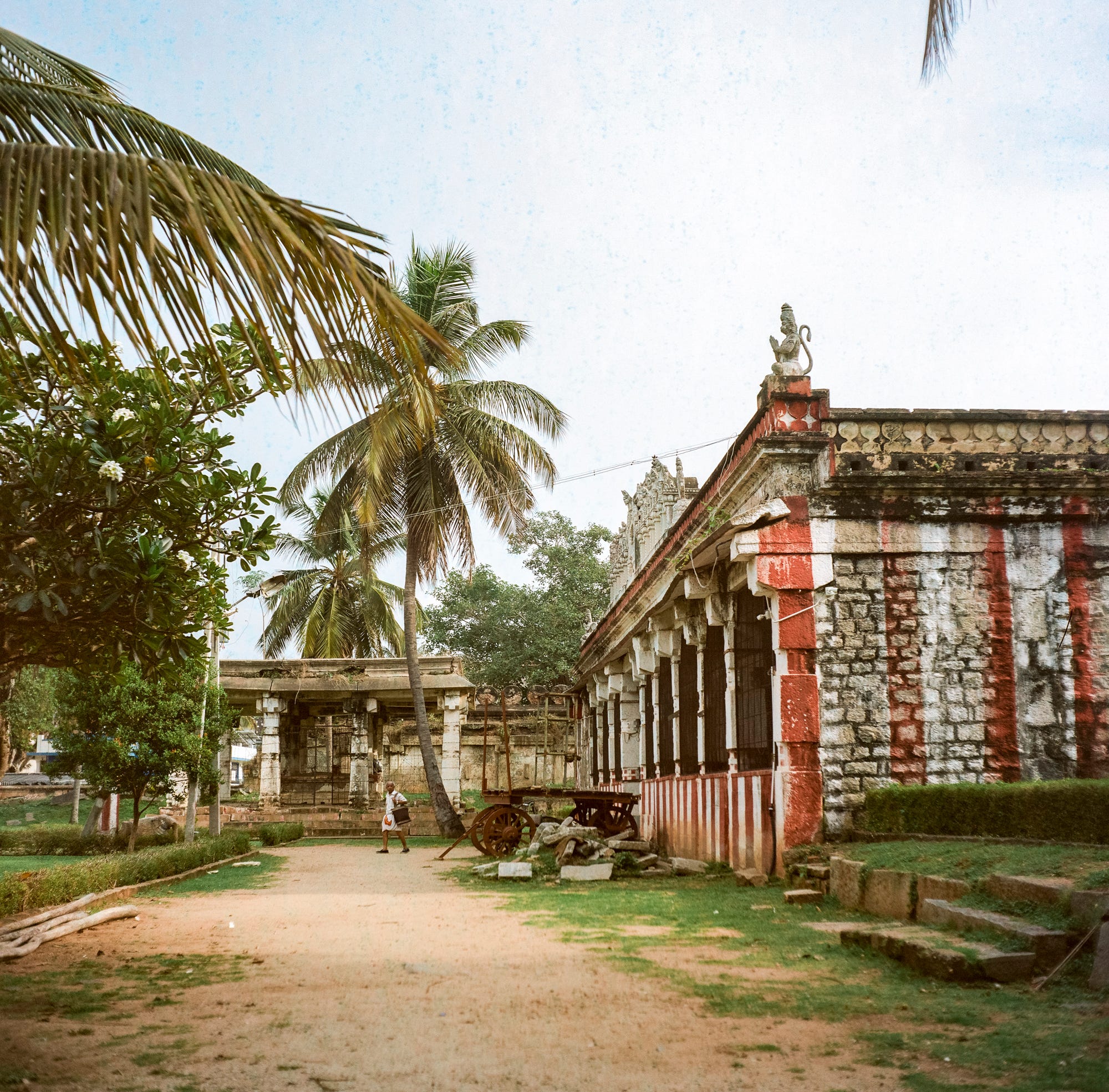 temple tree mysore