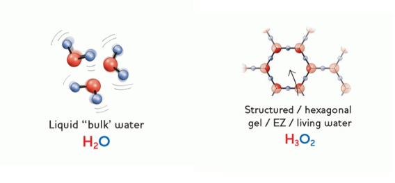 ‘Structured Water,’ ‘4th-Phase Water,’ ‘Exclusion Zone Water’ — Three ...