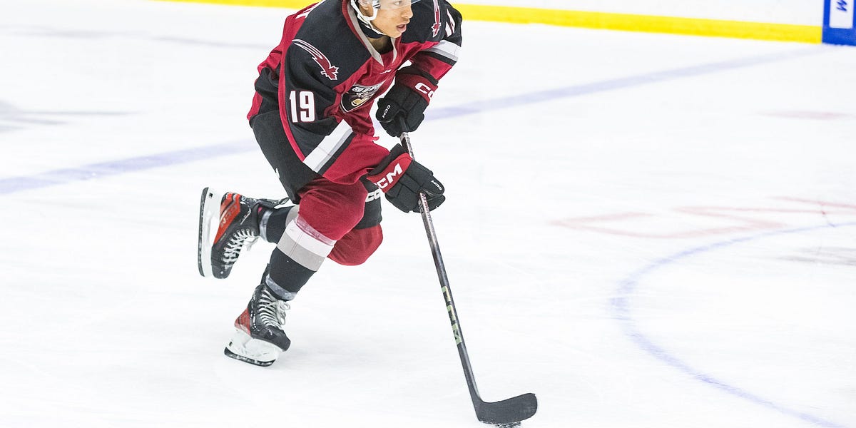 2025 NHL Draft Prospect Profile: Cameron Schmidt
