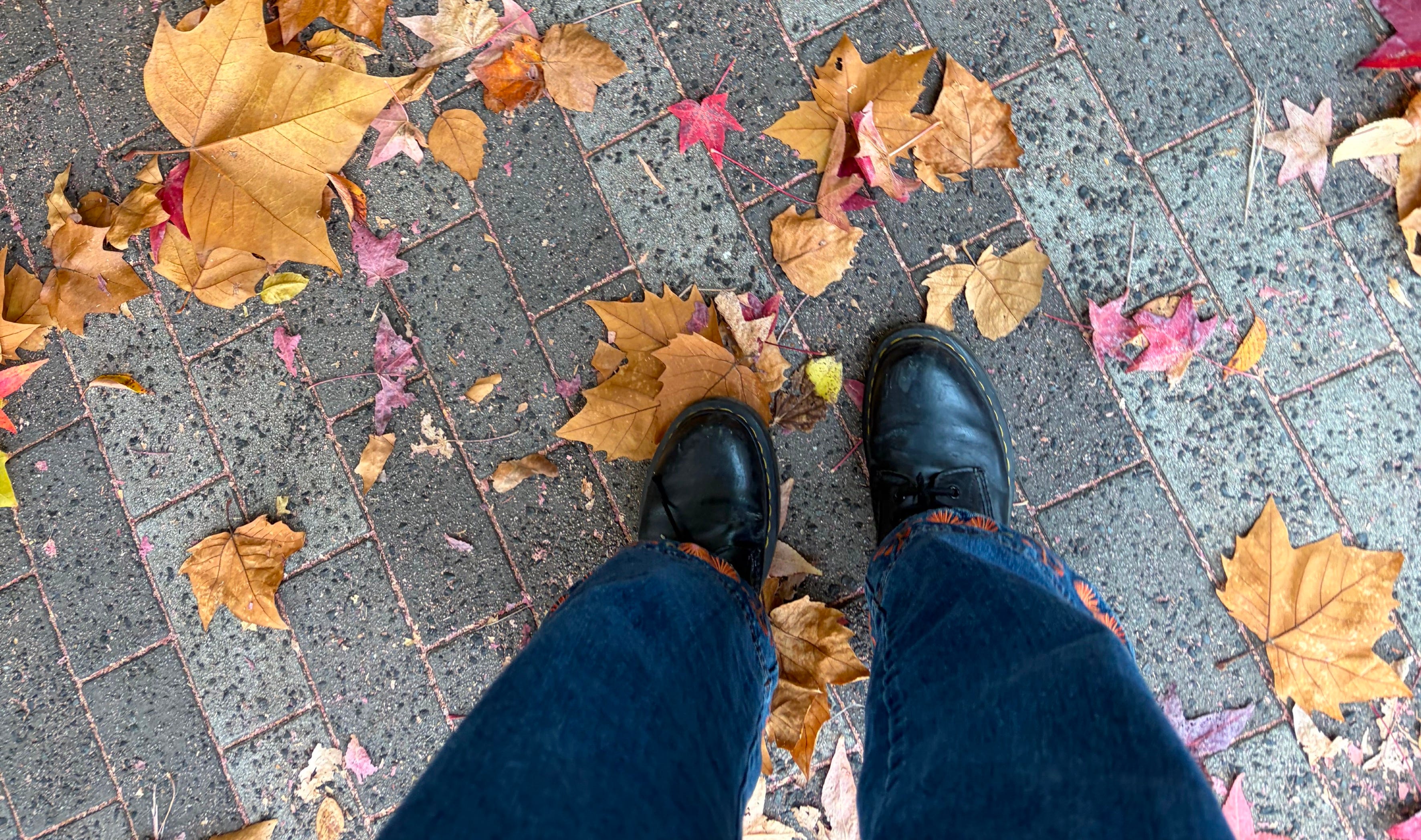 my experience in japan - by poppy ⋆˚࿔ - poppy’s Substack