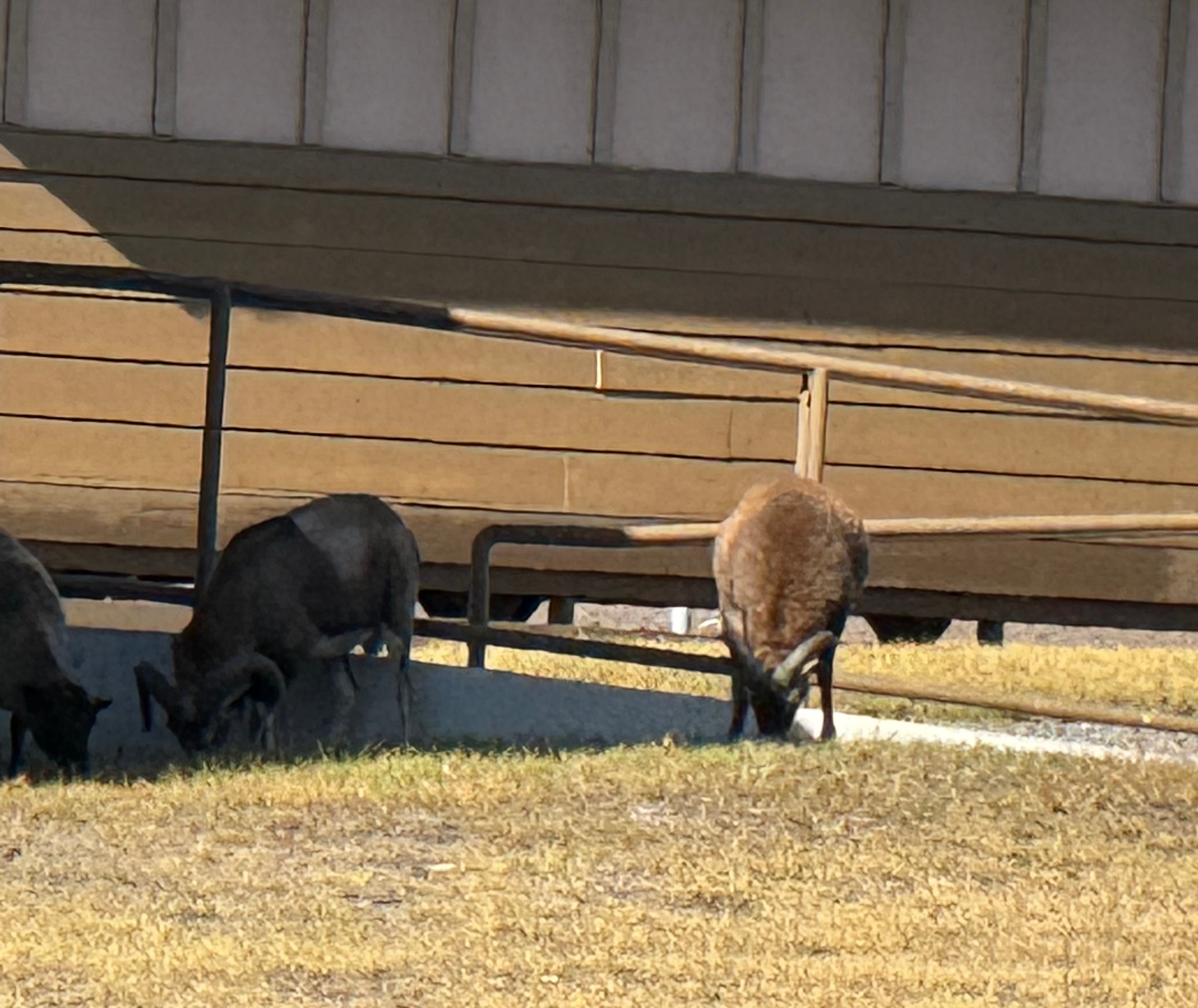 Rocking Hawaii – Making a Difference – USSA News | The Tea Party's ...