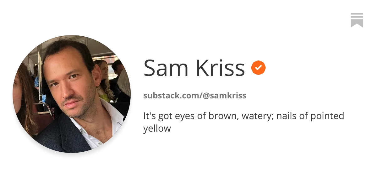 Sam Kriss | Substack