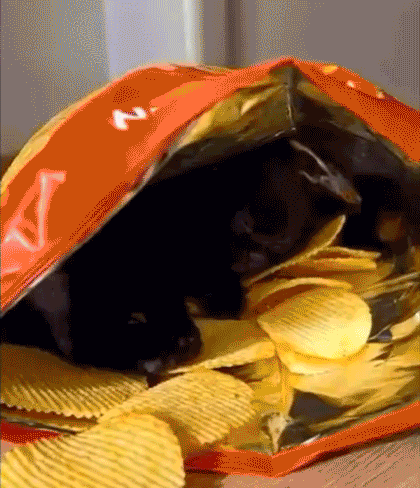 Chip Chat (a headline that sounds better in the original French)