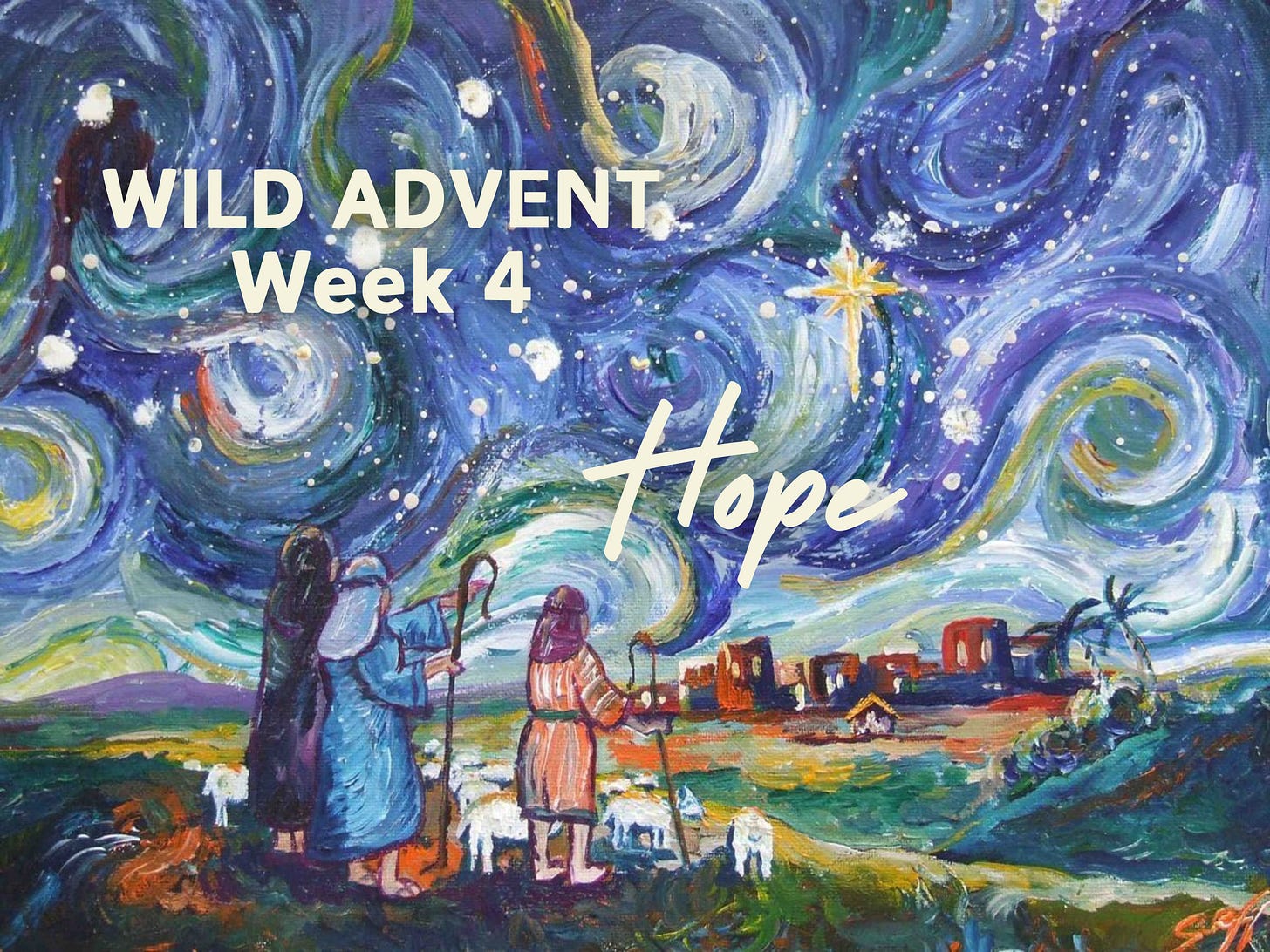 Do You Hear A Baby Crying? - by David R. Anderson