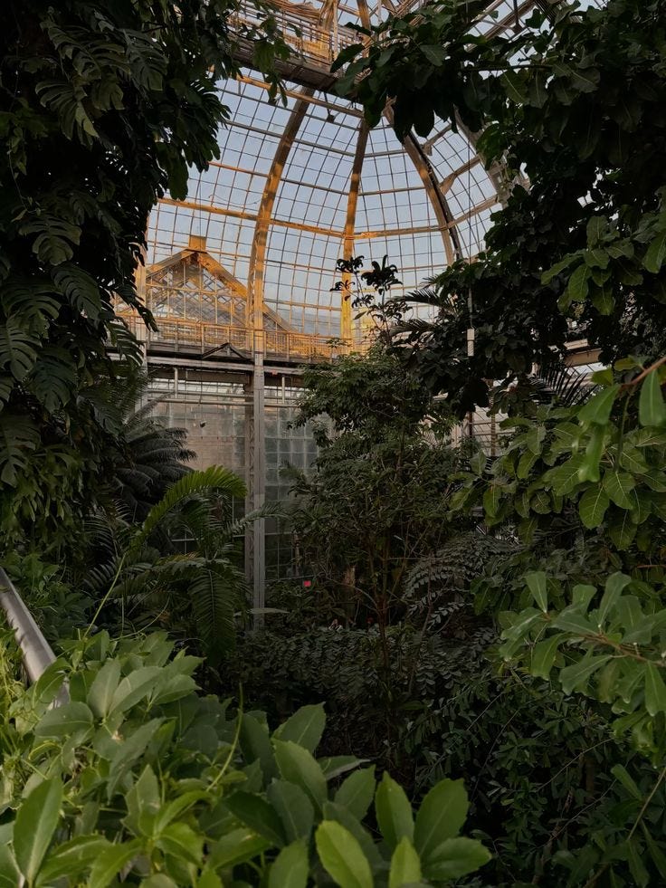 Olivia Wickstrom (@petalandhearth): "How to romanticize January this ...