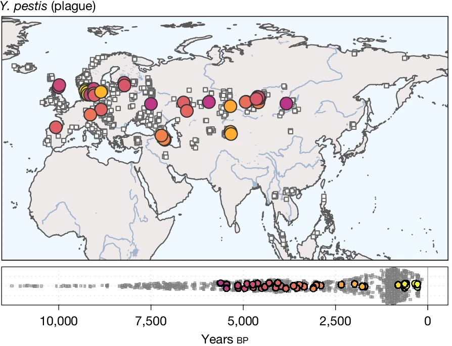 What if the first pandemic happened before writing?
