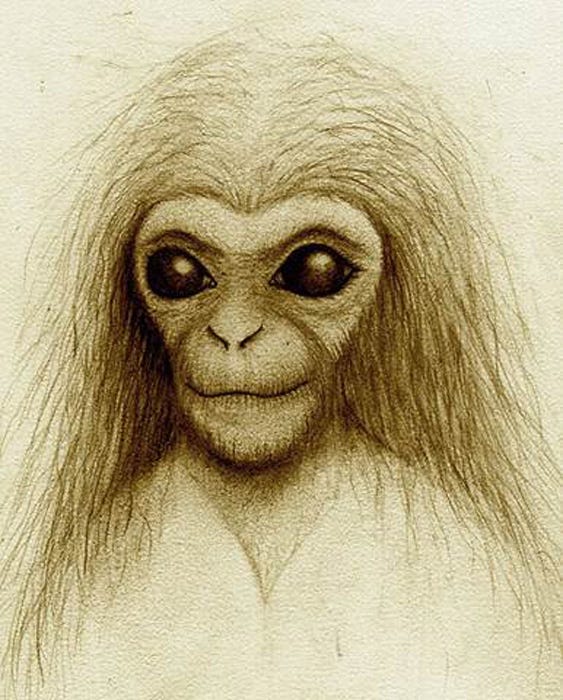 Oliver the “Humanzee”: The Chimp Who Walked Like Us - and What Science ...