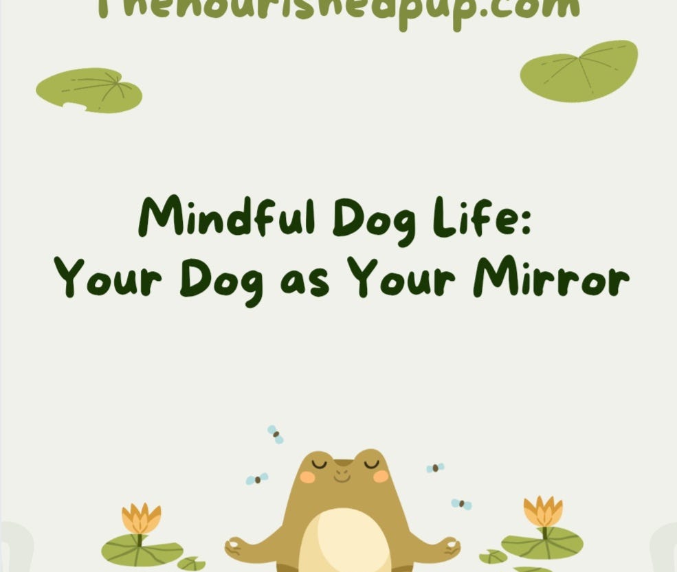 Best Education Newsletters on Substack