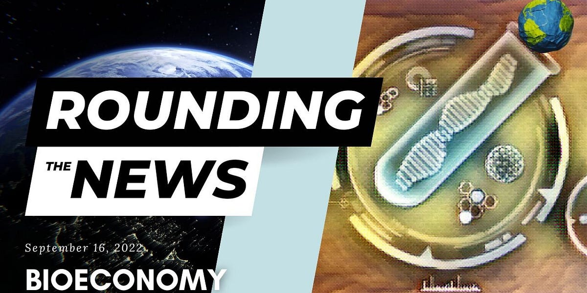 Bioeconomy - by Liam Sturgess - Microjourneys