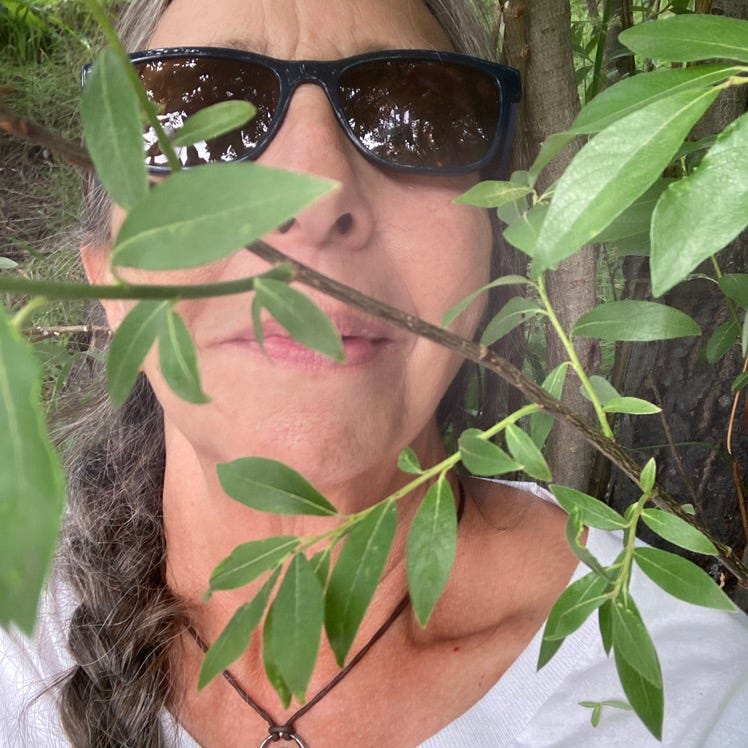 Geraldine A. V. Hughes | Substack